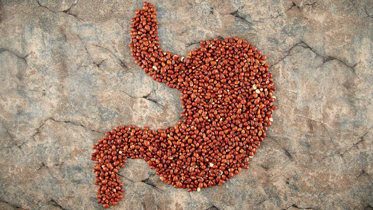 Helicobacter pylori: treatment and the role of probiotics in its ...